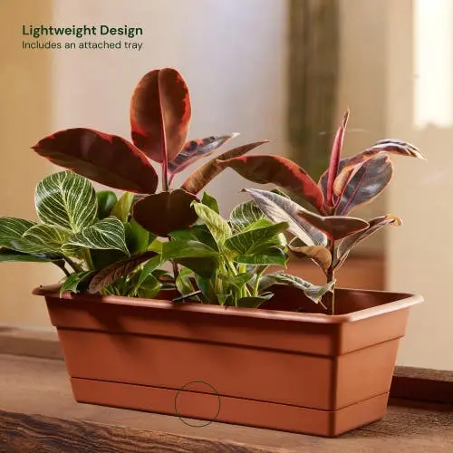 BLOEM 18 Inch Dura Cotta Window Box Planter