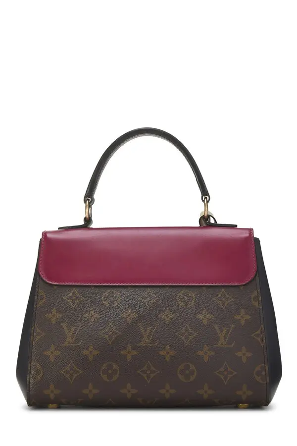 LOUIS VUITTON Monogram Cluny - Brown