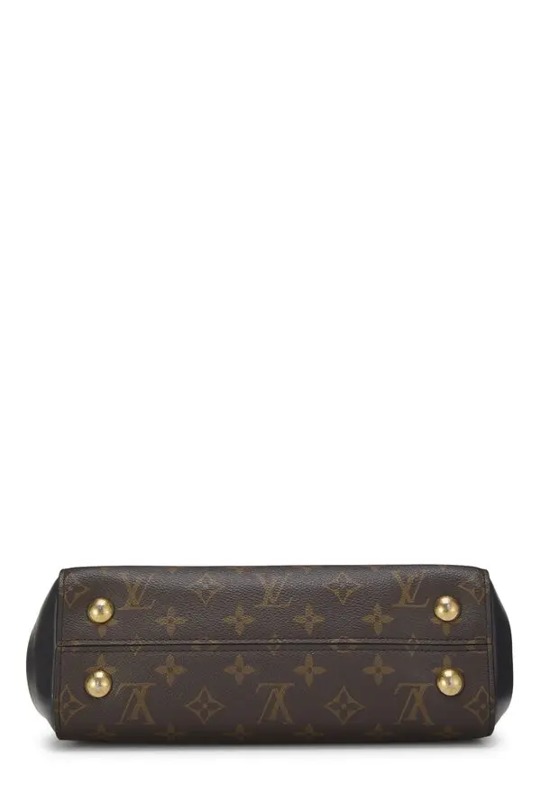 LOUIS VUITTON Monogram Cluny - Brown