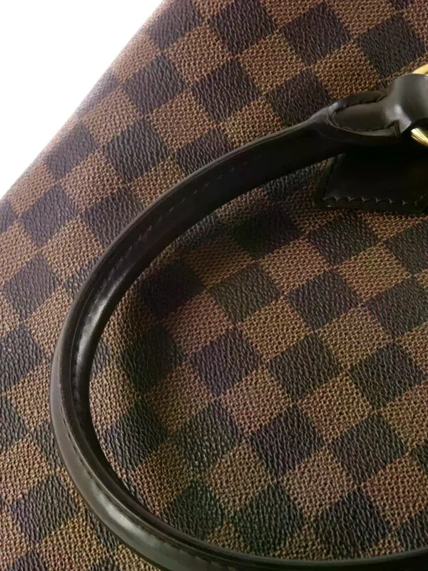 LOUIS VUITTON Saleya Handbag Damier Pm Tote - Brown