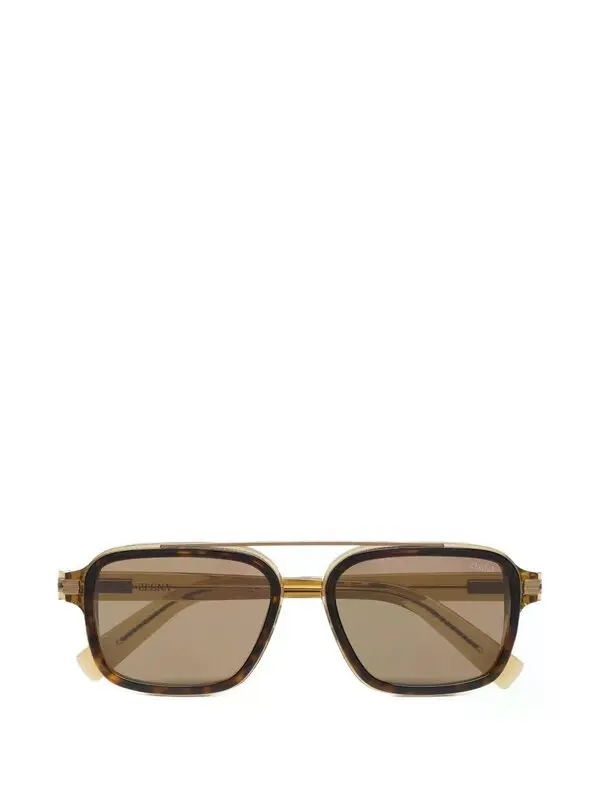 Zegna Tinted Lenses Sunglasses - Brown