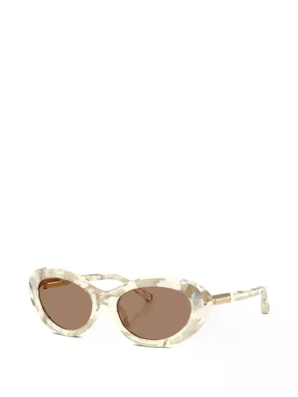 Dolce & Gabbana Cat-eye Sunglasses