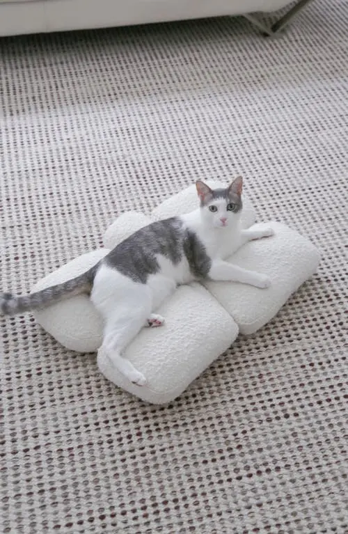CATENARY Bouclé Pebble Cat Bed