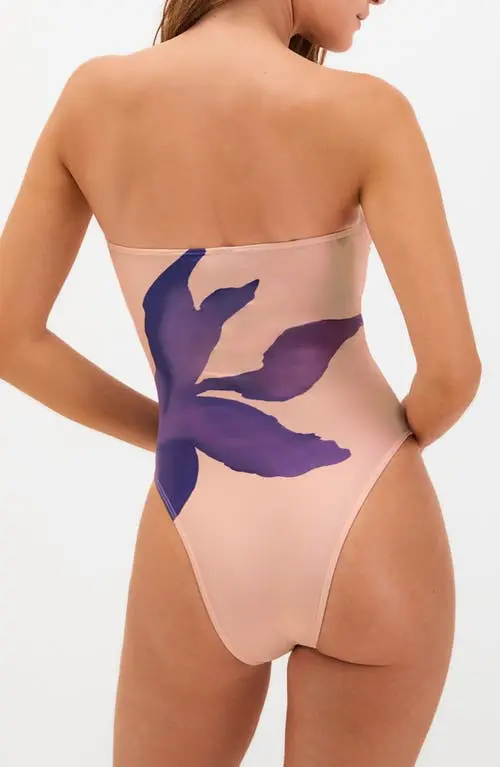 VIX PAULA HERMANNY Bianca Printed One-piece Swimsuit
