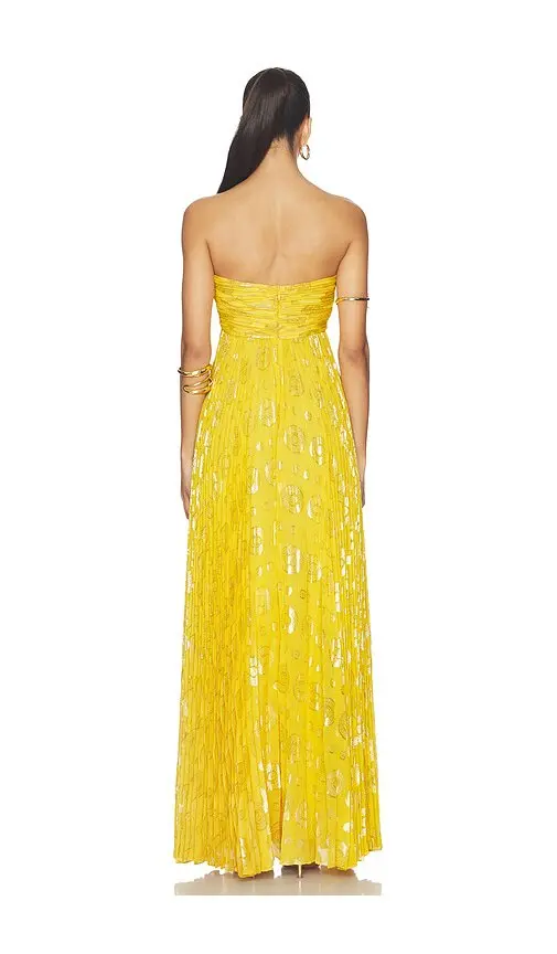 Alexis Soleil Maxi Dress