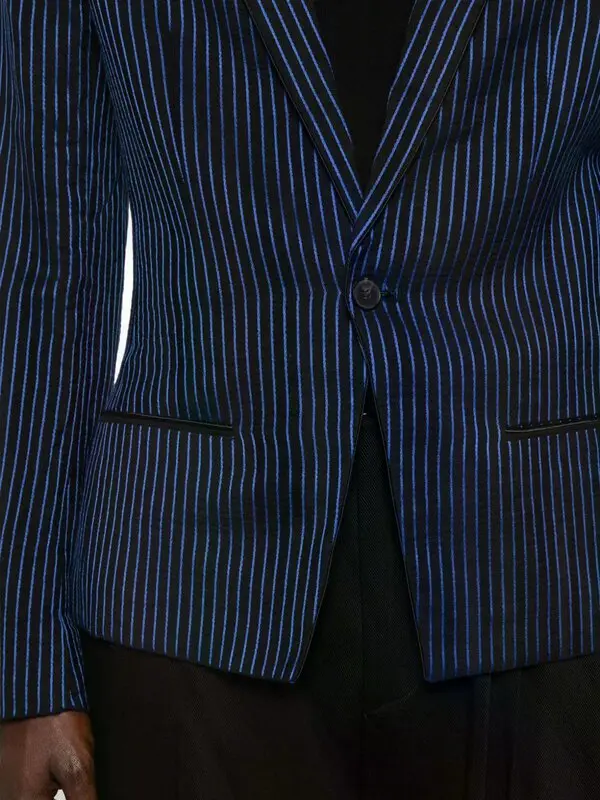 HAIDER ACKERMANN Changeant Pinestripes Jacket