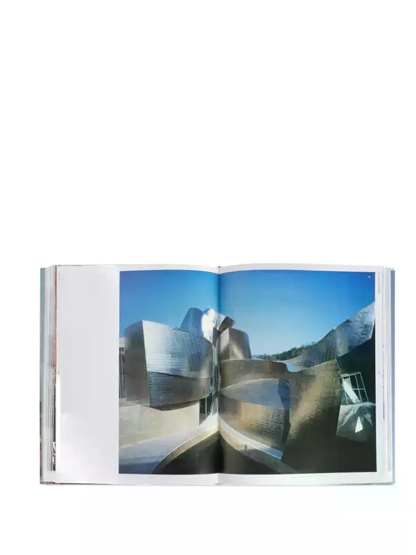 FLAMMARION Frank Gehry Masterpieces Book