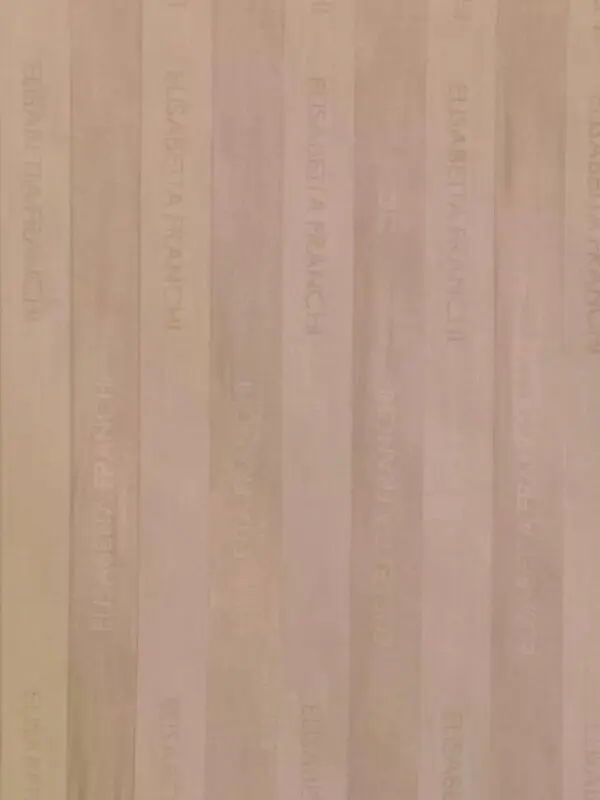 Elisabetta Franchi Logo-pattern Scarf