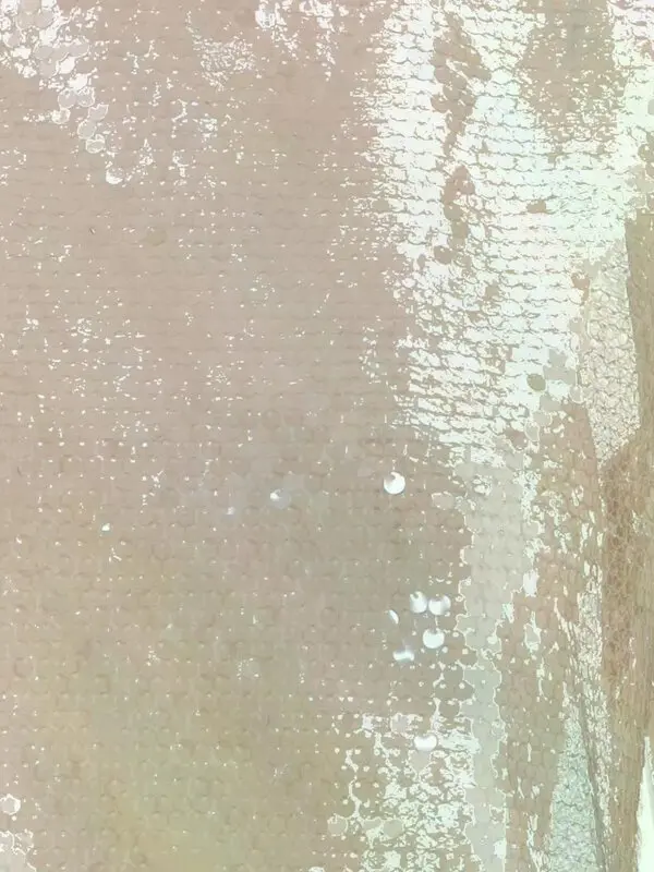 NICCOLO PASQUALETTI Sequinned Sleeveless Top