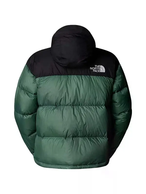 The North Face Hooded Puffer Jacket