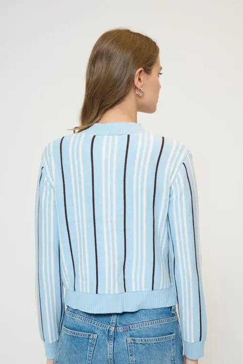 Central Park West Alba Striped Sweater - Blue Stripe