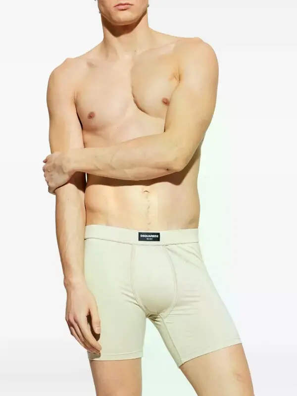 Dsquared2 Logo-waistband Boxers - Neutrals