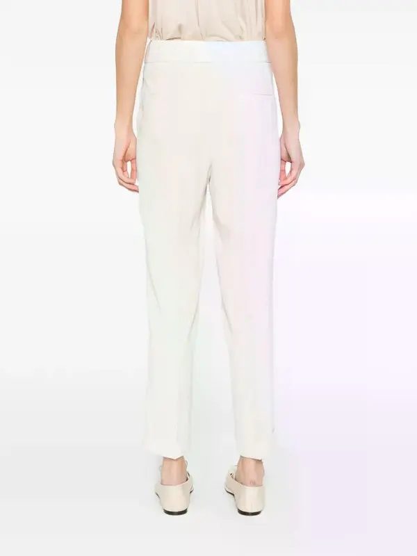 Peserico Pinstriped Pleated Trousers - Neutrals
