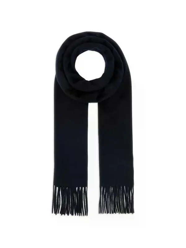 Max Mara Fringed Cashmere Scarf - Blue