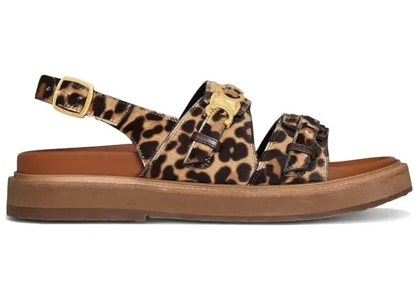Celine Tippi Triomphe Leopard Print Sandals