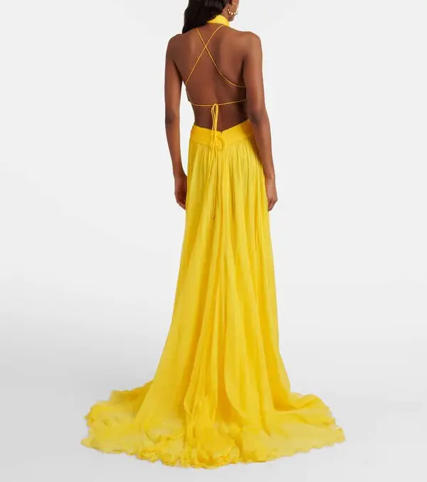 Roberto Cavalli Cutout Silk Chiffon Gown