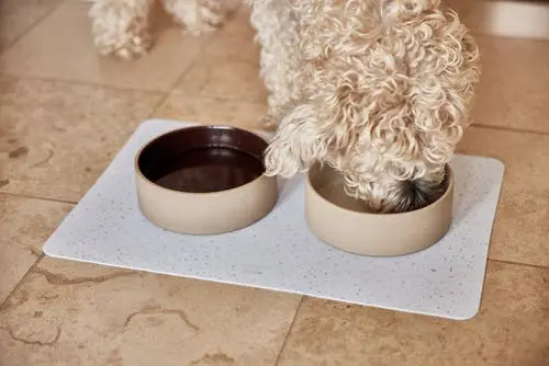 OYOY Sia Dog Bowl