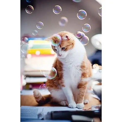 ATOMIC BUBBLES Kitty Love Calming Bubbles