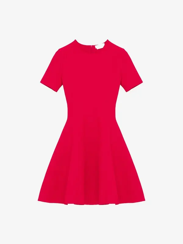 Alexander McQueen Fit And Flare Mini Dress - Red