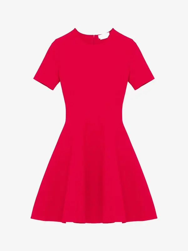 Alexander McQueen Fit And Flare Mini Dress - Red