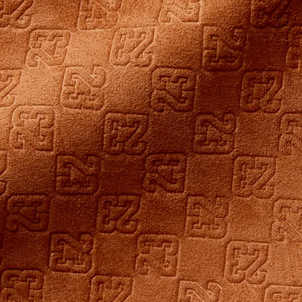 JORDAN Suede Monogram Camera Bag - Brown