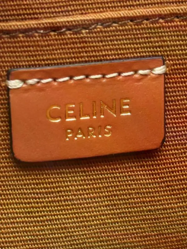 Celine 2022 Mini Triomphe Coated Canvas Camera Bag - Brown