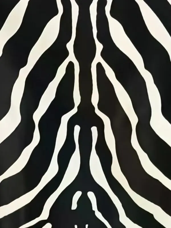 Khaite Loxley Zebra-print Midi Skirt