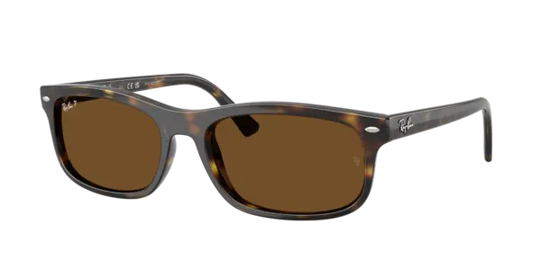 Ray-ban Sunglasses - Polarized Brown