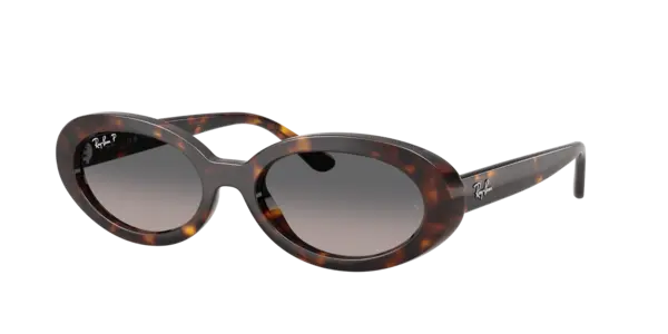 Ray-ban Sunglasses - Grey Gradient Polarized