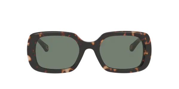 Chloé Sunglasses Ch0333s - Green