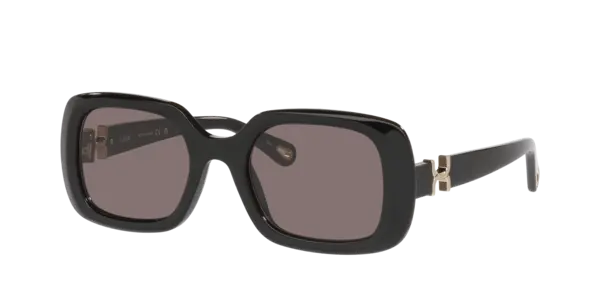 Chloé Sunglasses Ch0333s - Grey