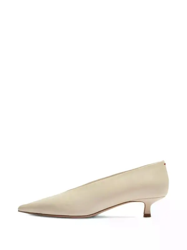 AeydĒ Clara Pointed Pumps