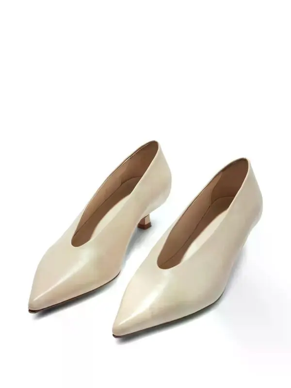 AeydĒ Clara Pointed Pumps