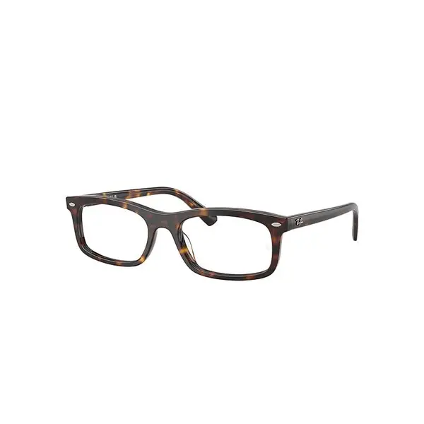 Ray-ban Optics Eyeglasses Frame - Havana