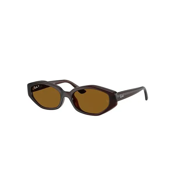 Ray-ban Sunglasses With Full-rim Frame - Dark Brown