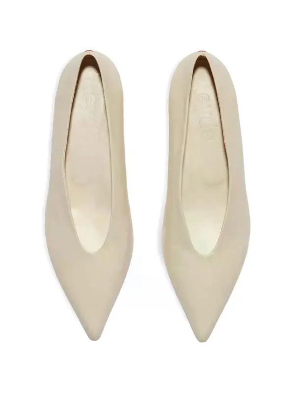 AeydĒ Clara Pointed Pumps - Neutrals
