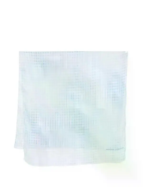 Ermanno Scervino Gingham Scarf - Blue