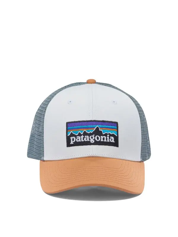 Patagonia Cap - Grey