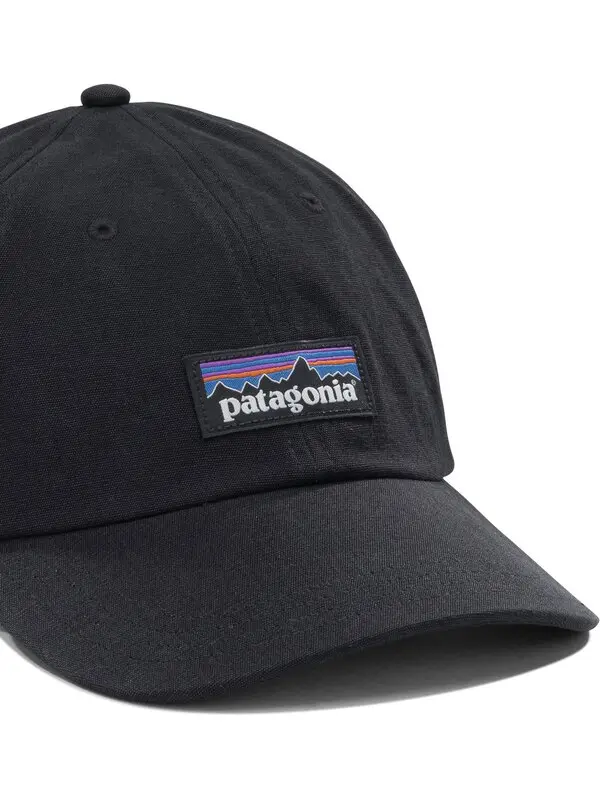 Patagonia Cap
