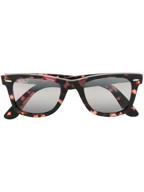 Ray-ban Wayfarer Tortoiseshell-frame Sunglasses - Brown