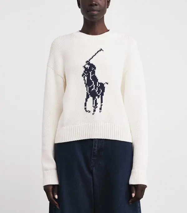 Polo Ralph Lauren Jacquard Polo Pony Sweater