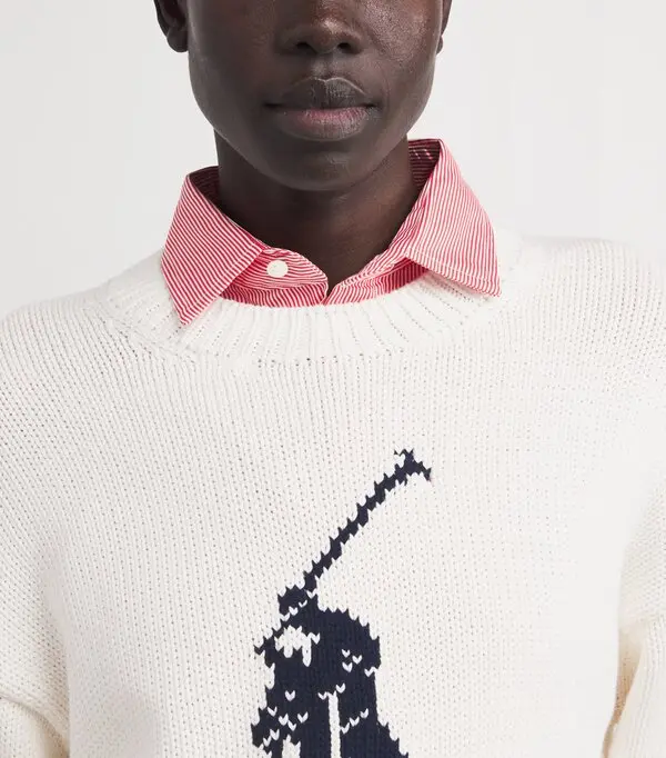 Polo Ralph Lauren Jacquard Polo Pony Sweater