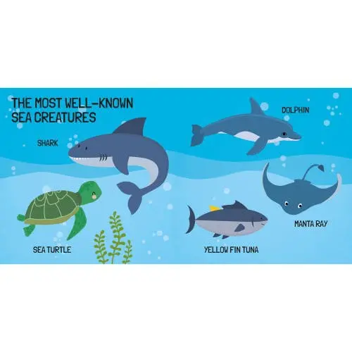 SASSI Q Box The Sea Read Play Learn Underwater 40 Piece Set