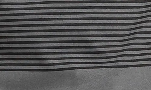 Quiksilver Tijuana Stripe Cotton Tank - Iron Gate