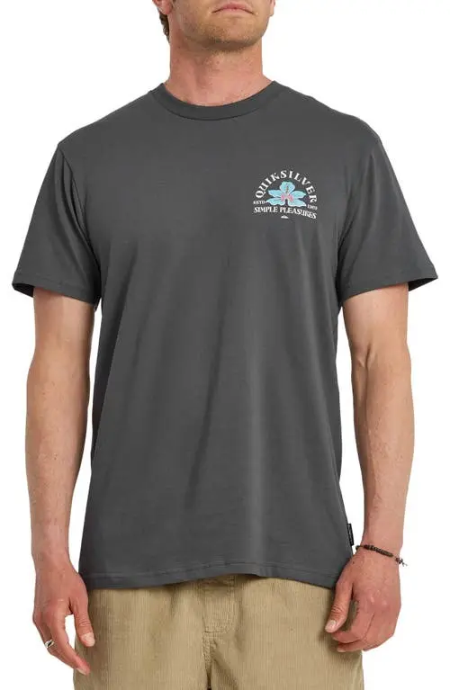Quiksilver Pleasures Cotton Graphic T-shirt - Iron Gate