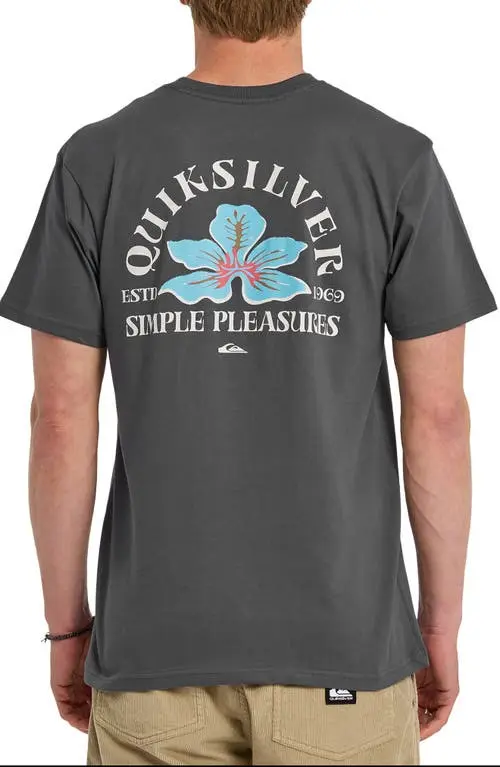 Quiksilver Pleasures Cotton Graphic T-shirt - Iron Gate