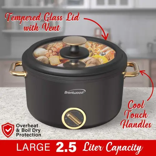 BRENTWOOD Multi-function Electric Hot Pot Cooker And Food Steamer With Ceramic Non-stick Ceramic Coating