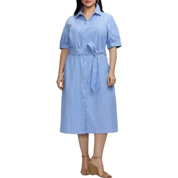 Foxcroft Esther Belted Stripe Cotton Shirtdress - Blue Multi