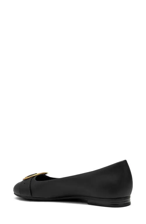 Aerosoles Paradise Buckle Flat - Black