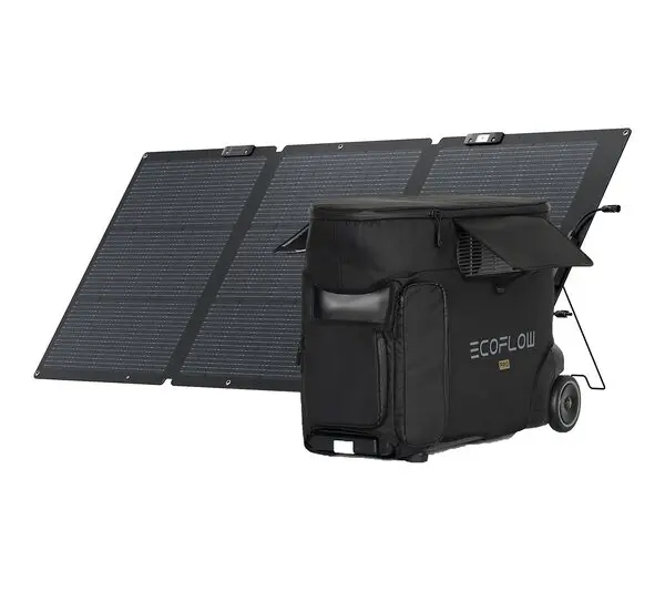 ECOFLOW Delta Pro 3600wh Power Station, Bag & 160w Solar Pane - One-color